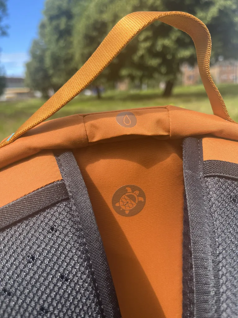 Pacsafe® Eco 25L Anti-Theft Backpack (HONEST REVIEW!)